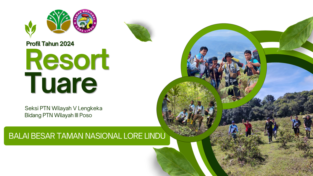 PROFIL RESORT TUARE | BBTNLL